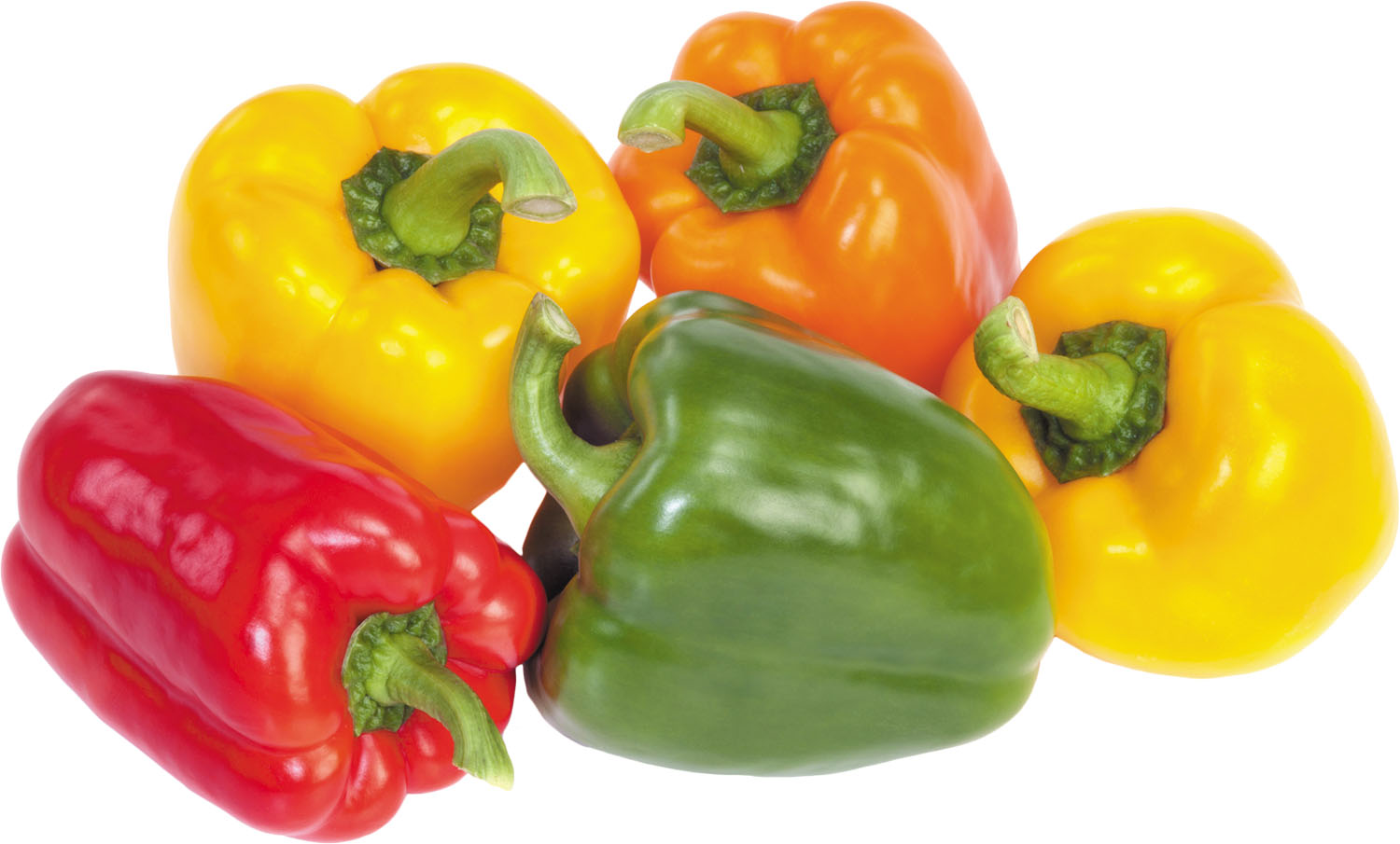 Bell pepper